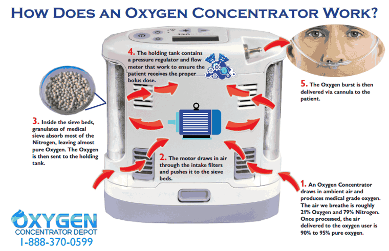 The oxygen concentrator – NICHE International