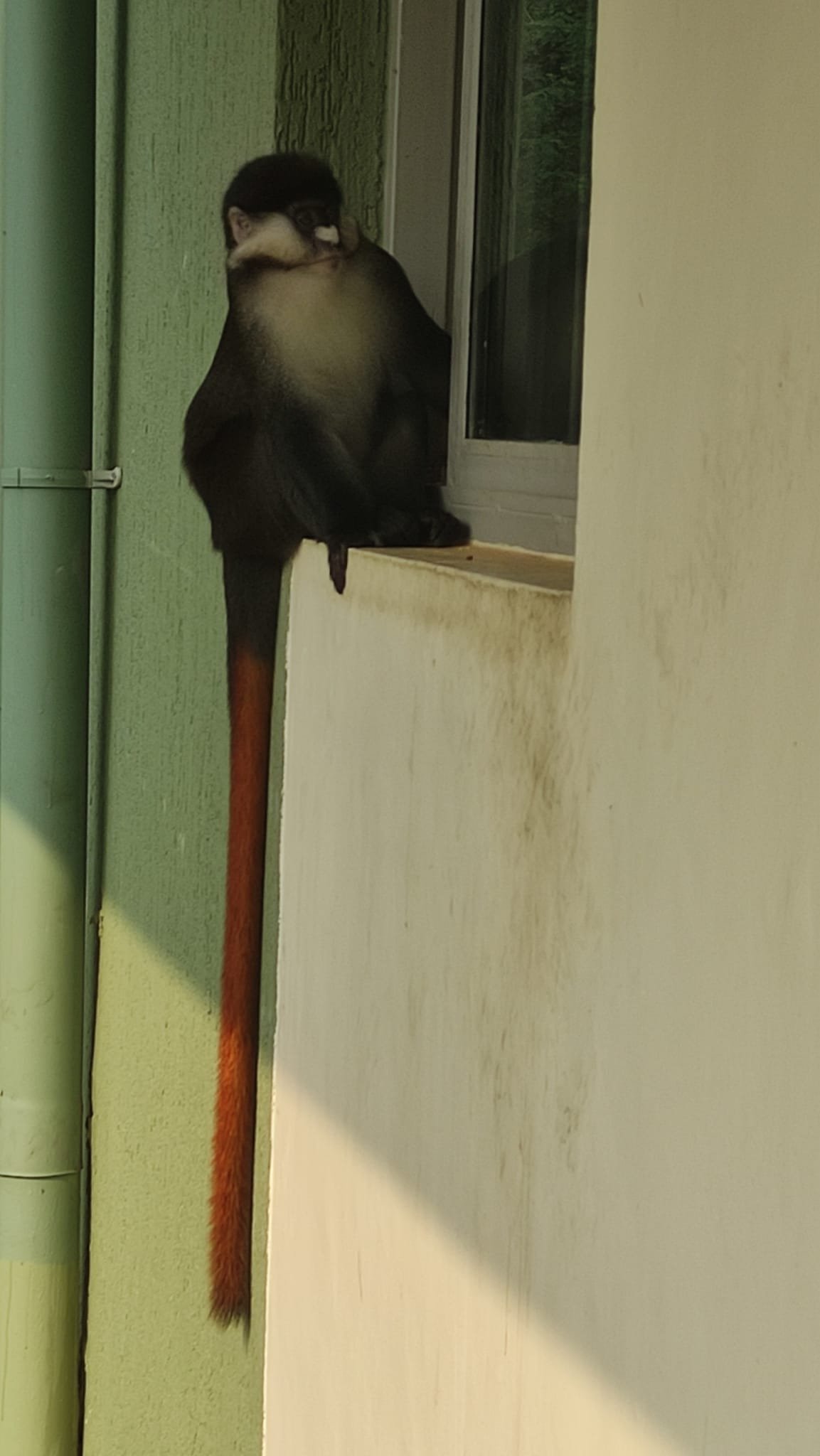 Keeping the show on the road – NICHE International