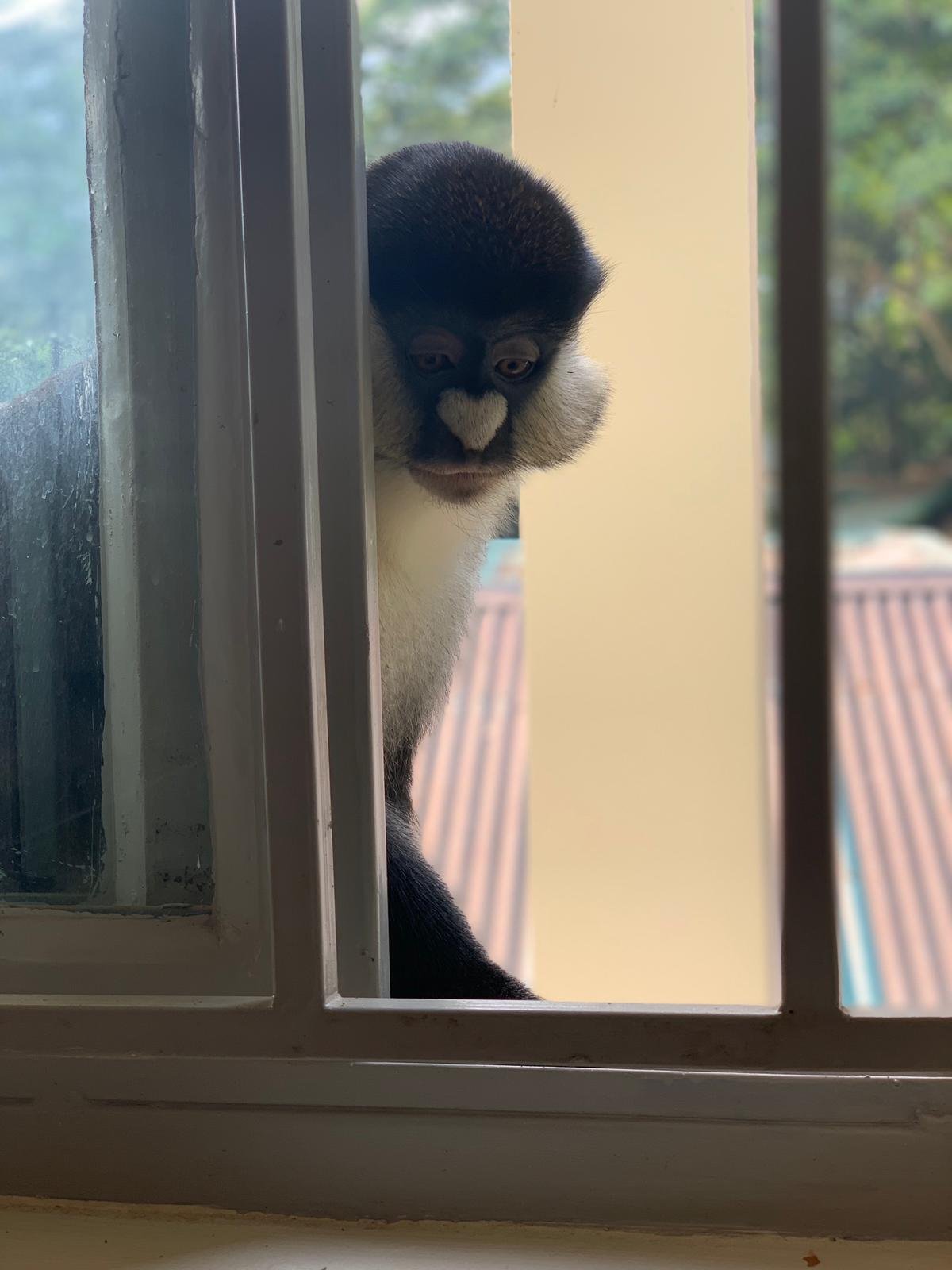 Keeping the show on the road – NICHE International